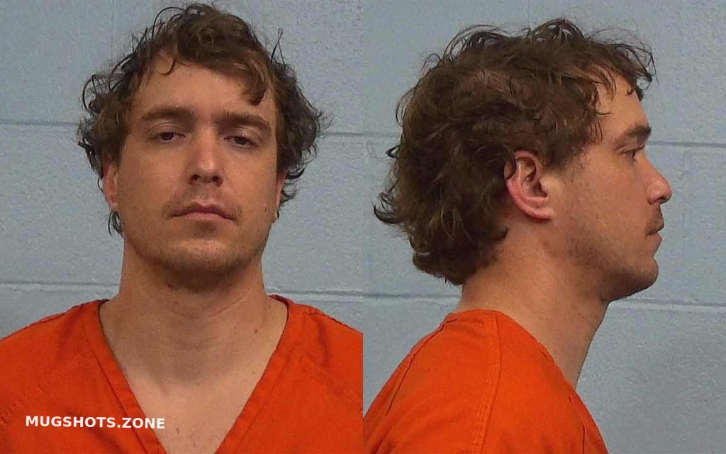 JOHNSON SAM DOMINICK 02/21/2024 - Williamson County Mugshots Zone