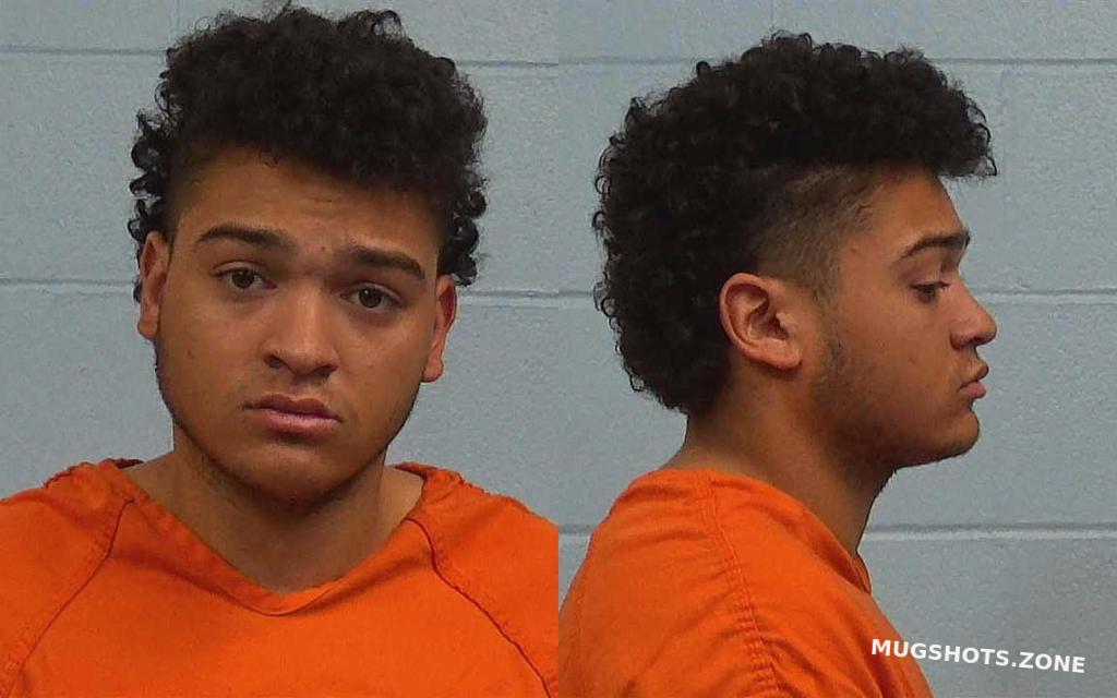 POWELL SKYLAR DAVID RIGGS 02/23/2024 - Williamson County Mugshots Zone