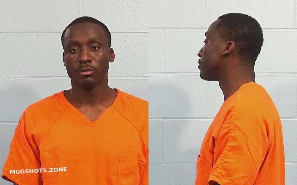 FLEURIZARD WICLIFF WVES 02/25/2024 - Williamson County Mugshots Zone