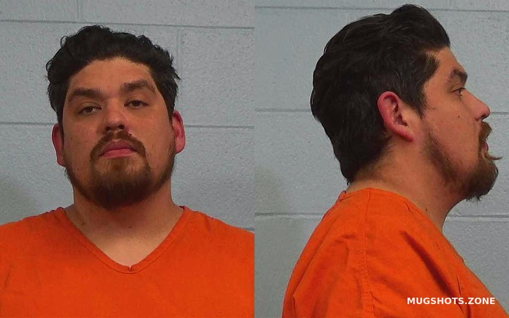 DIAZ MARK EDWARD 02/29/2024 - Williamson County Mugshots Zone