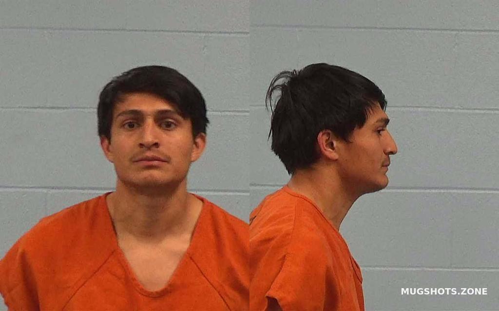 NARVAEZ BRAYAN FRANCISCO 03/10/2024 - Williamson County Mugshots Zone