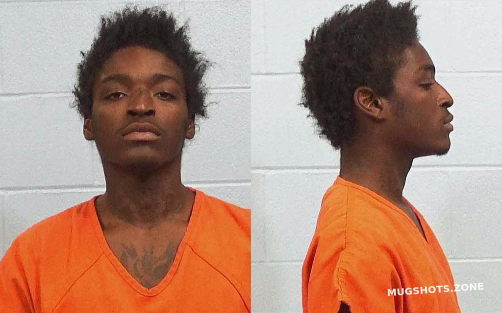 ALLEN CAMERON DEANDRE 03/11/2024 - Williamson County Mugshots Zone