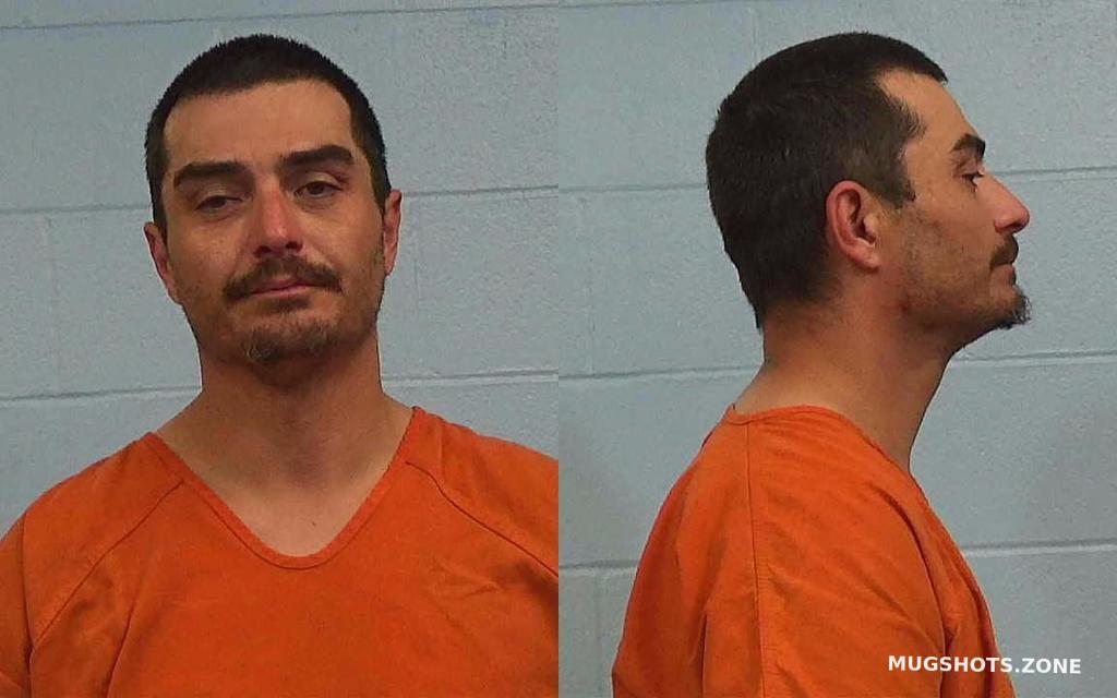 FLORES RICHARD 03/11/2024 - Williamson County Mugshots Zone
