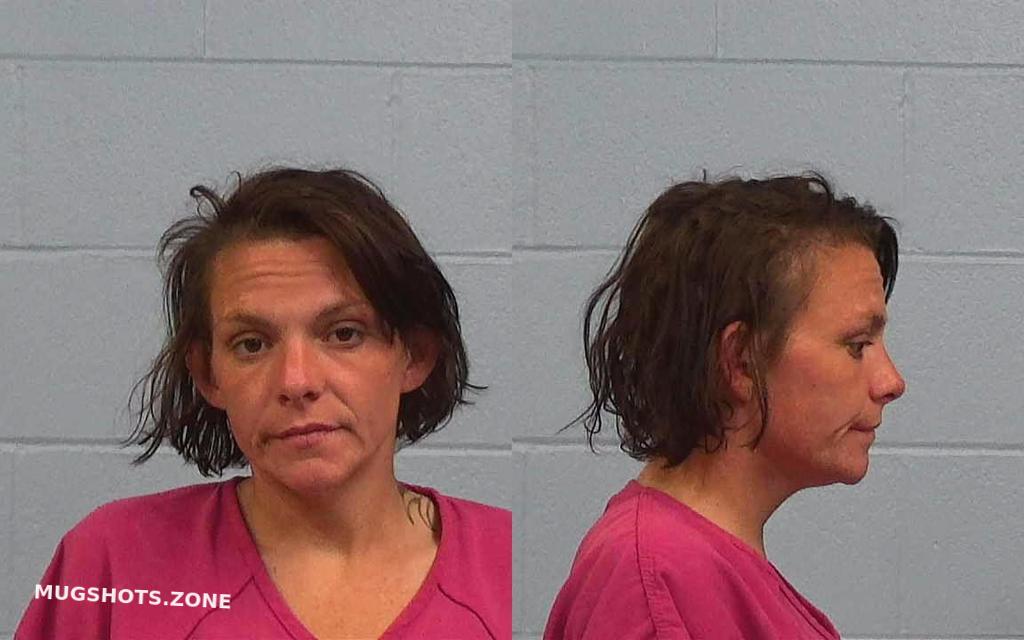 LAPKA TONYA LYNN 04/03/2024 - Williamson County Mugshots Zone