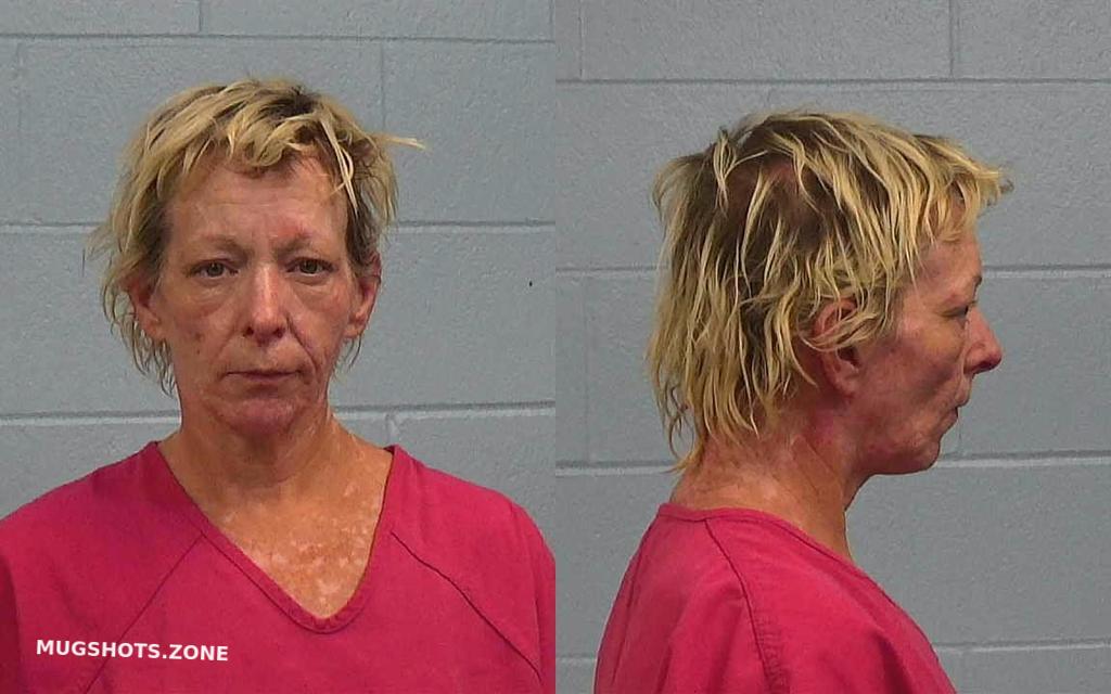 EDWARDS ASHLEY MICHELLE 04/15/2024 - Williamson County Mugshots Zone