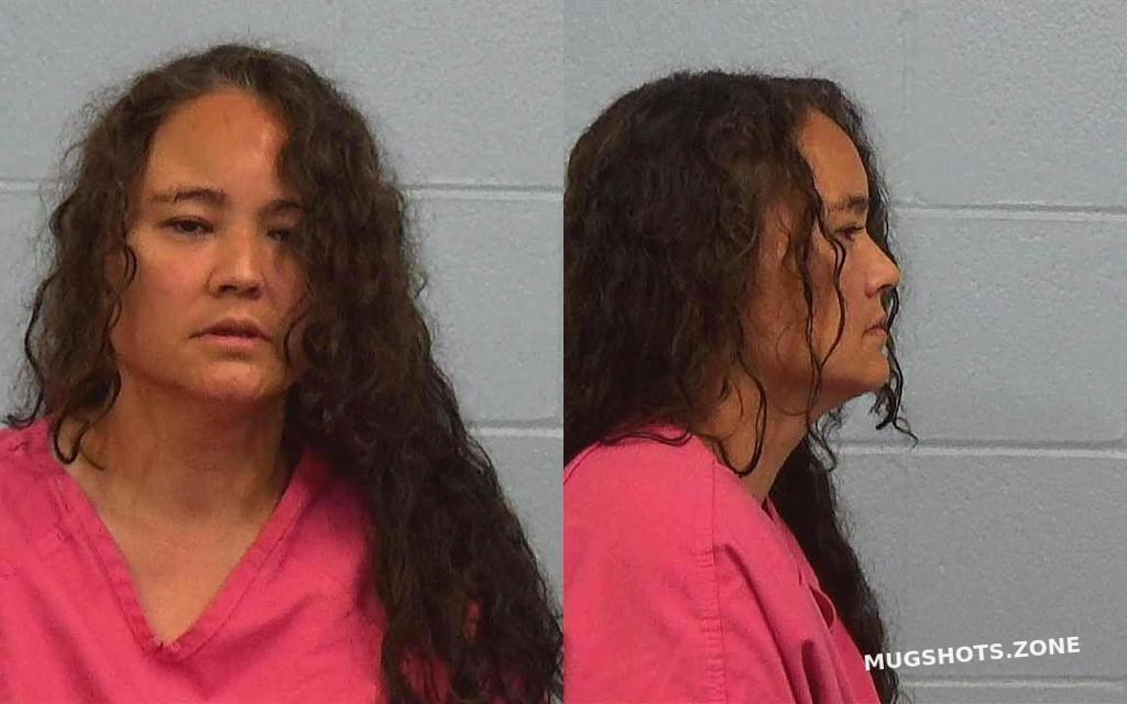 HUBBS RACHEL 04/16/2024 - Williamson County Mugshots Zone