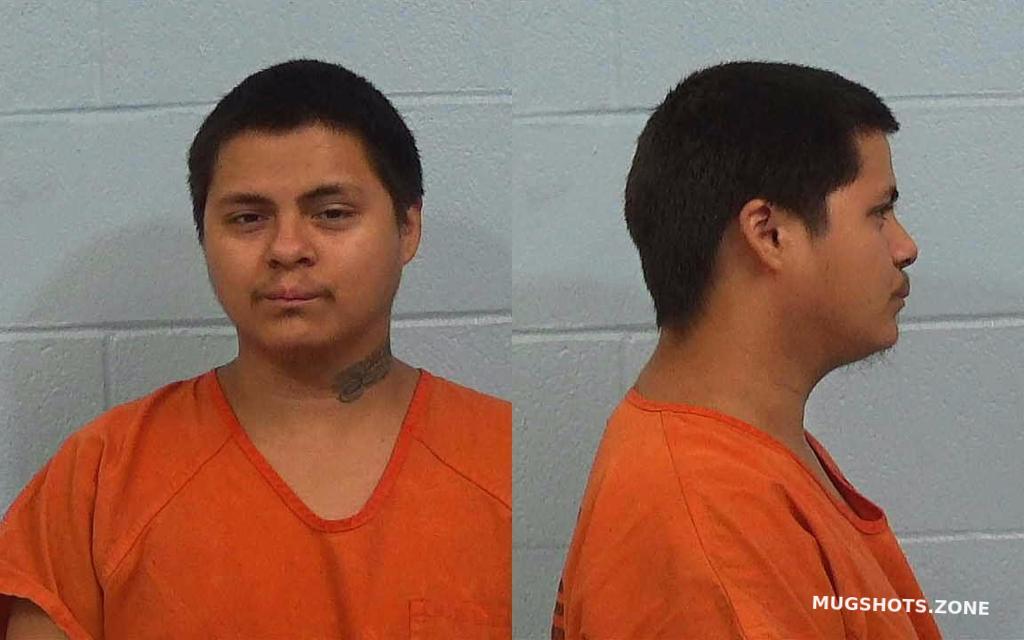 SANCHEZ ANTONIOUS APOLLO 04/18/2024 - Williamson County Mugshots Zone