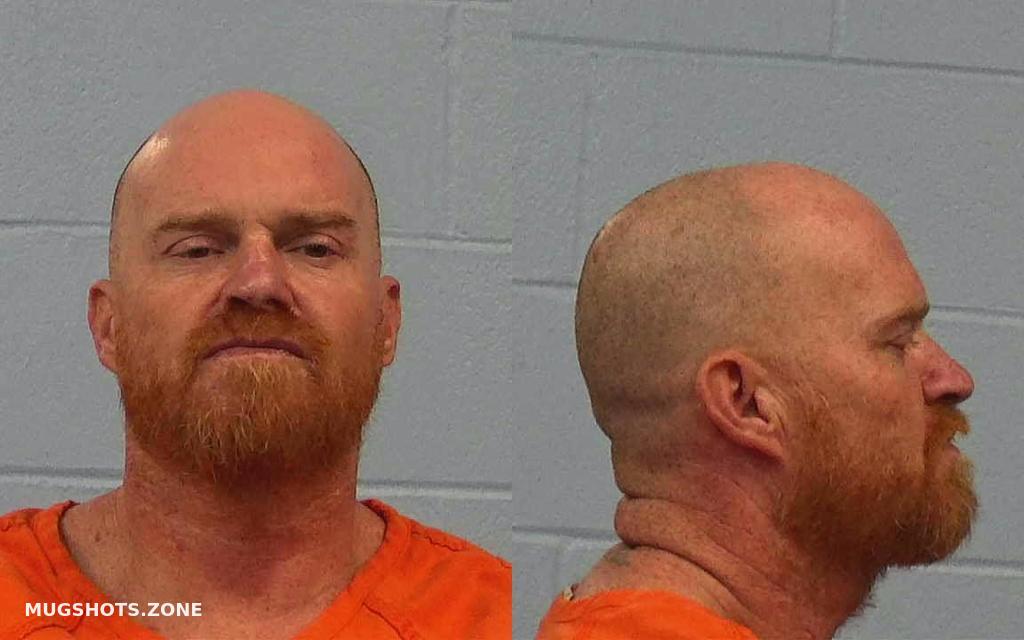 RISH MICHAEL WEBSTER 04/19/2024 - Williamson County Mugshots Zone