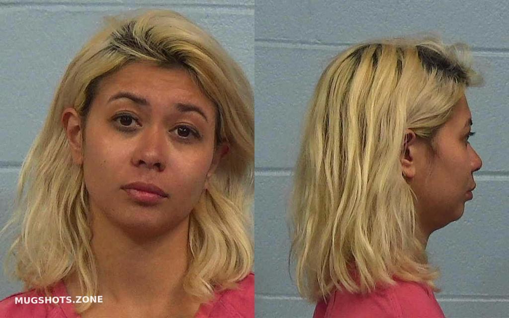 BECKHAM BRENDA LEIGH 04/30/2024 - Williamson County Mugshots Zone