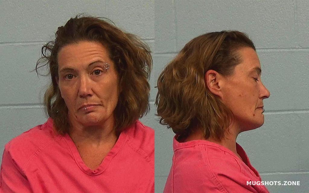 PORTERFIELD SHANNON DAWN 05/21/2024 - Williamson County Mugshots Zone