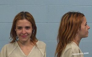 DAVIDSON COURTNEY GAIL 05/25/2024 - Williamson County Mugshots Zone