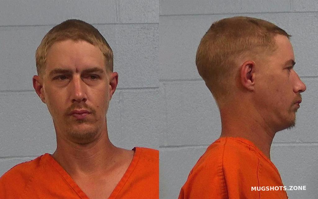 HALSEY DONALD FRANK 06/03/2024 - Williamson County Mugshots Zone