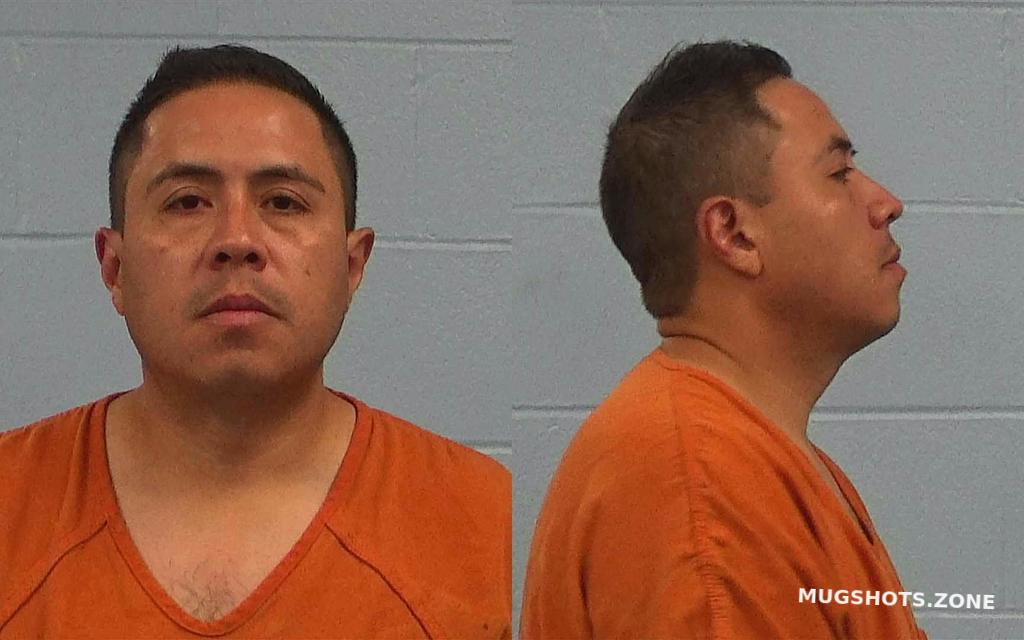 GUZMAN CAMBERO EDWIN DANIEL 06/04/2024 - Williamson County Mugshots Zone