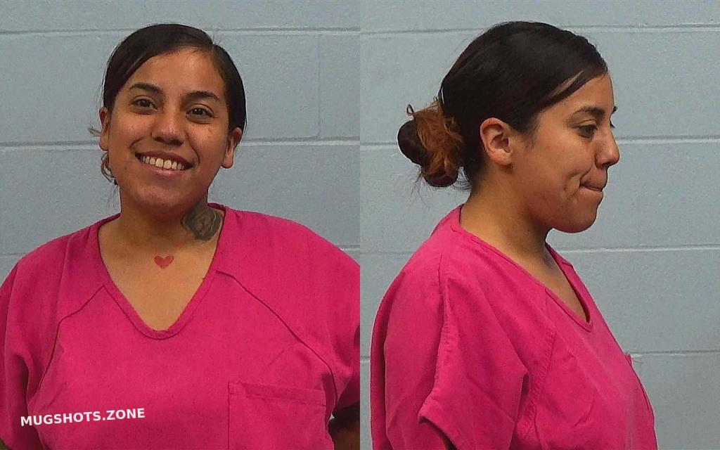 RENDON MARISA ANN 06/13/2024 - Williamson County Mugshots Zone