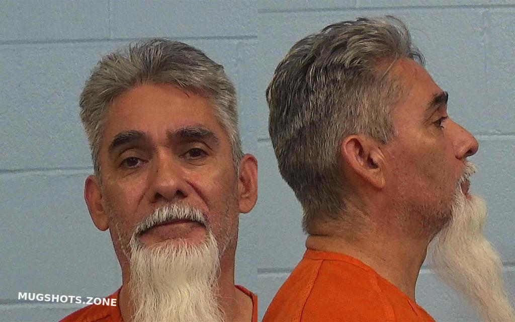 GAUNA GABRIEL RENEE 06/13/2024 - Williamson County Mugshots Zone