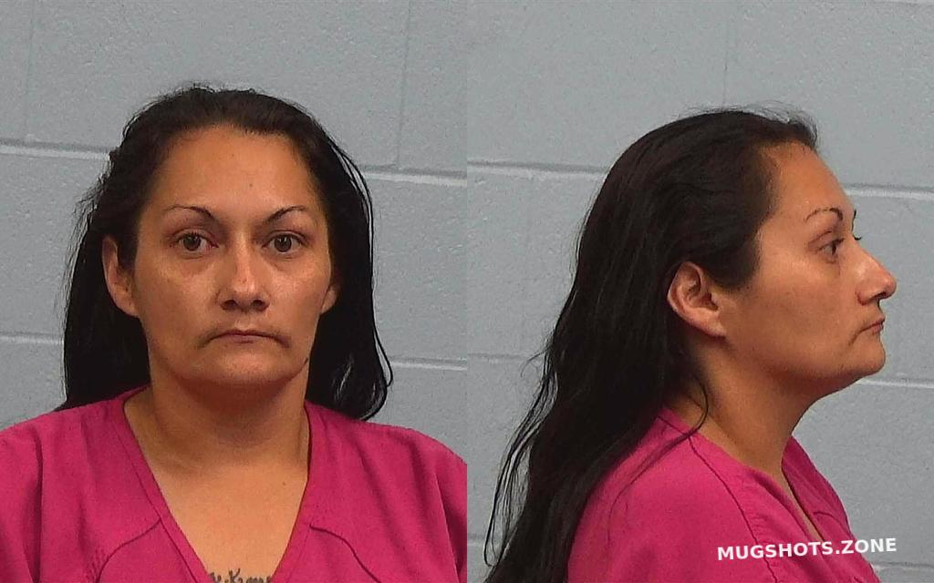 WILLIAMS AMANDA LYNN 06/19/2024 - Williamson County Mugshots Zone