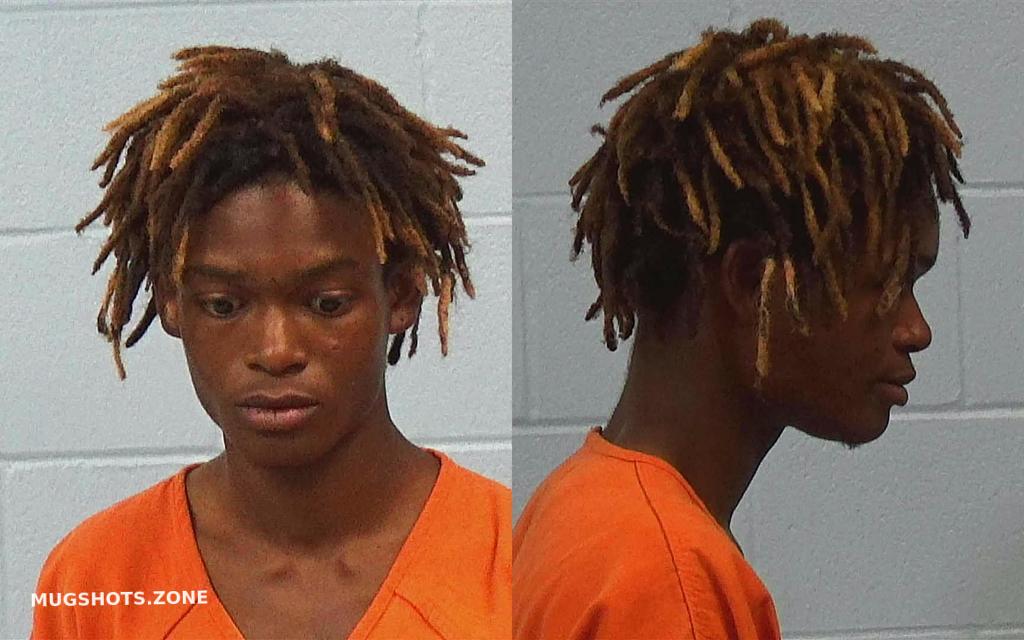 WILLIAMS CHRISTIAN DILLARD 06/28/2024 - Williamson County Mugshots Zone