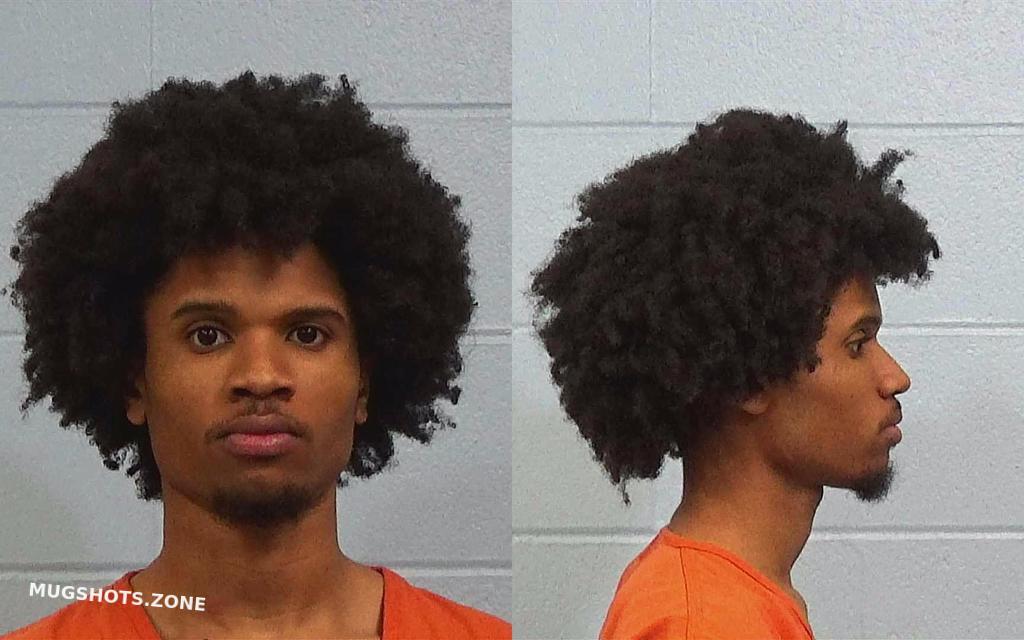 BROWN JEHB DEVION 07/04/2024 - Williamson County Mugshots Zone