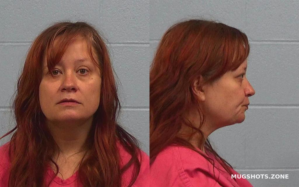 MORGAN LISA DAWN 07/05/2024 - Williamson County Mugshots Zone