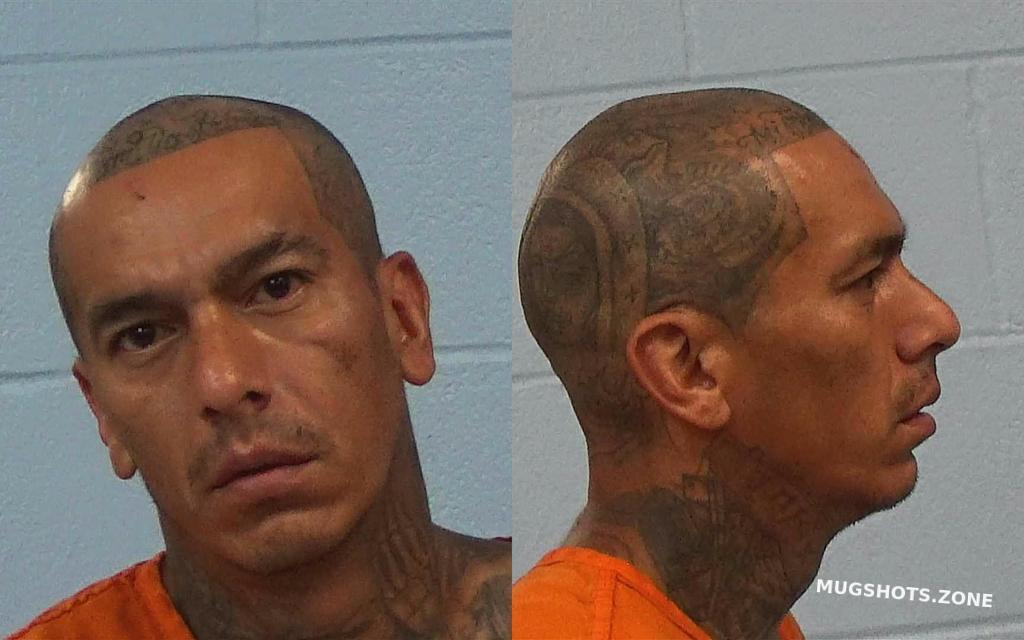 RAMOS MARCUS 07/08/2024 - Williamson County Mugshots Zone