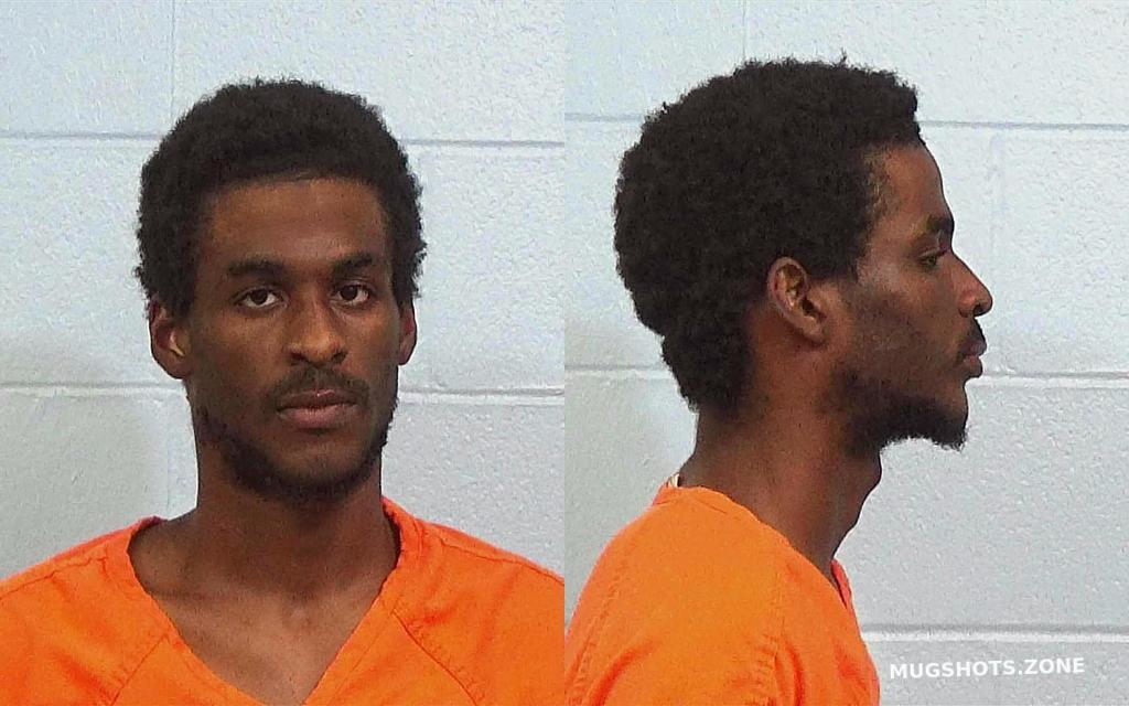 WILLIAMS DAVEION LAMONT 07/11/2024 - Williamson County Mugshots Zone