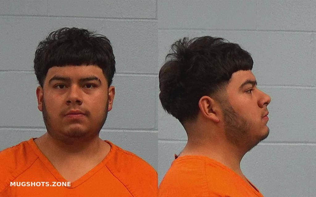 MORALES ERICK 07/12/2024 - Williamson County Mugshots Zone