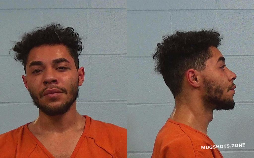 REEVES JORDAN DAI 07/28/2024 - Williamson County Mugshots Zone