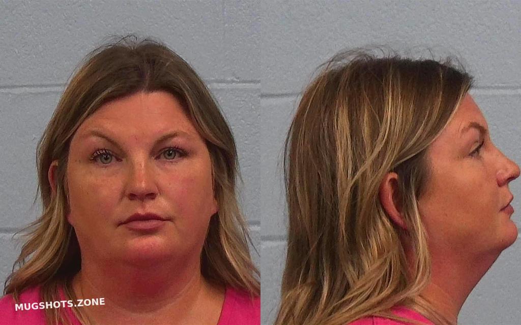 HAYNES CHELSEA RENEE 08/10/2024 - Williamson County Mugshots Zone