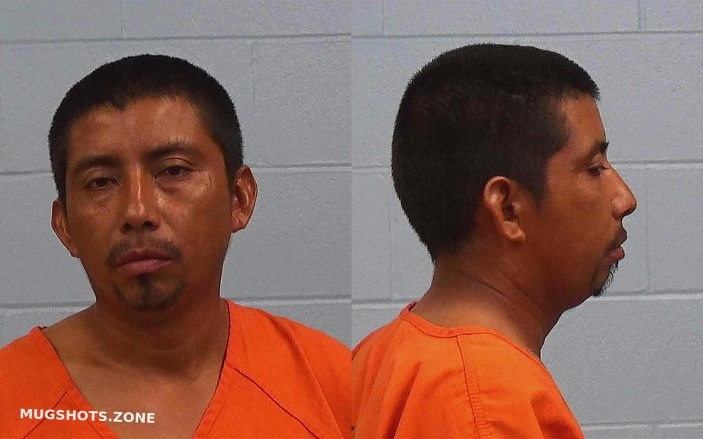 RAMOS-RAMIREZ VALENTIN 08/10/2024 - Williamson County Mugshots Zone