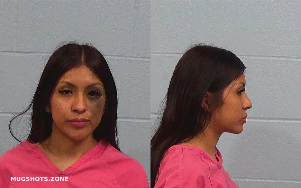 FRIAS MARISOL 08/12/2024 - Williamson County Mugshots Zone