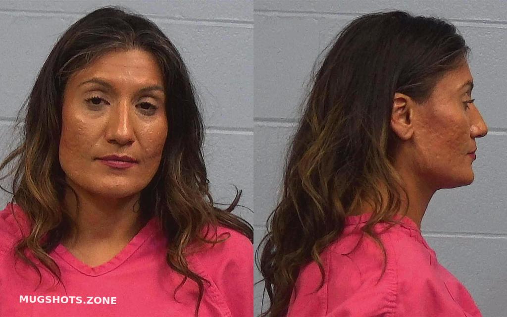 REYES JENNIFER RENEE 08/16/2024 - Williamson County Mugshots Zone