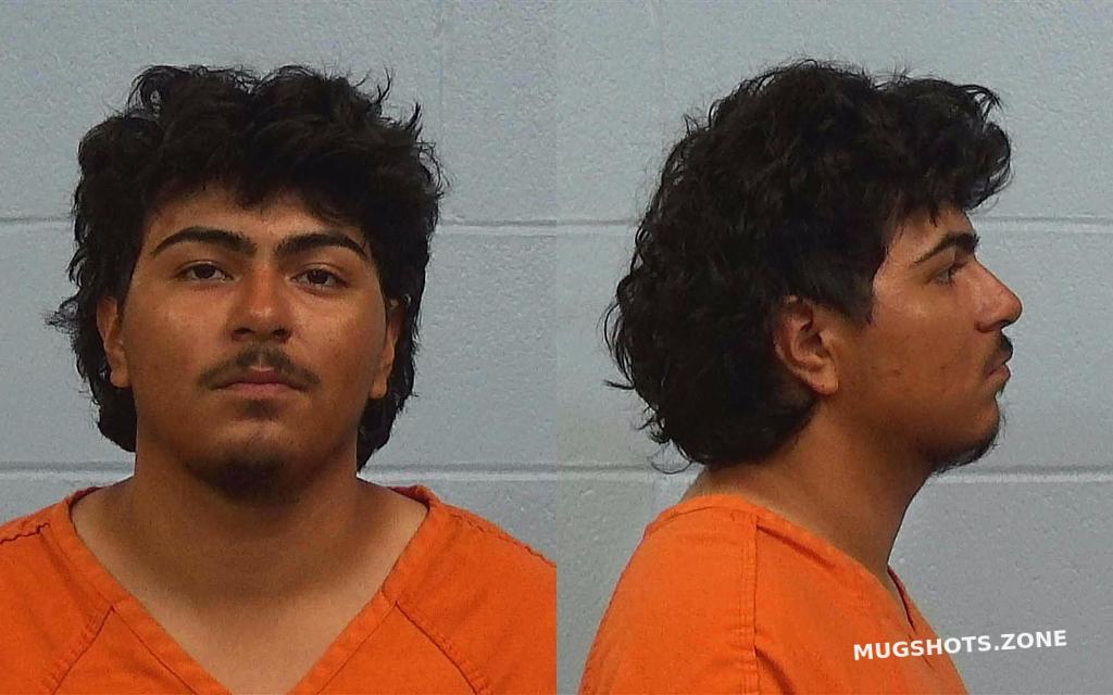 GUTIERREZ-GUTIEREZ LUIS GUSTAVO JR. 08/16/2024 - Williamson County ...