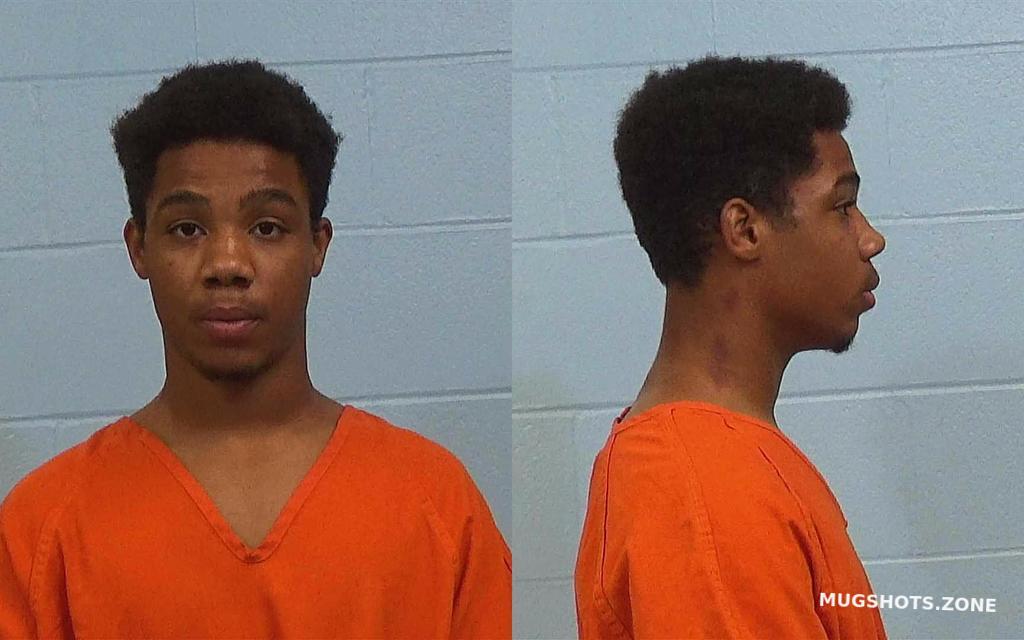 SEYMOUR JADEN TYSON 08/20/2024 - Williamson County Mugshots Zone