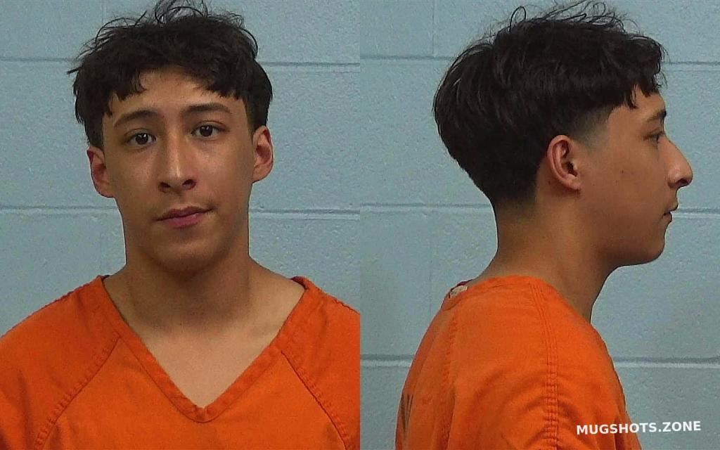 SUAREZ AIDAN MICHAEL 08/21/2024 - Williamson County Mugshots Zone