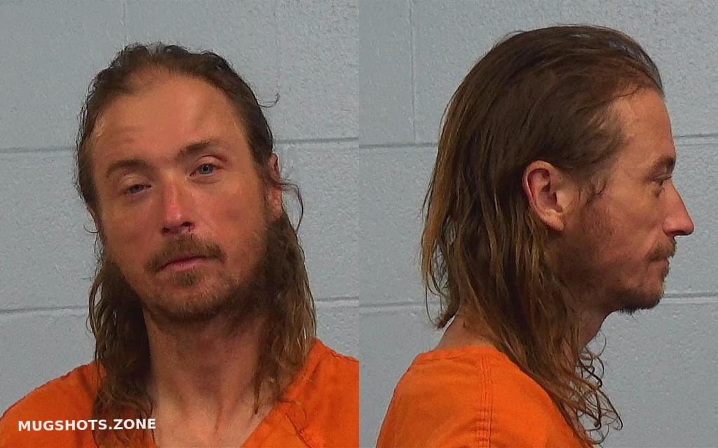ANDERSON AUSTIN TRAVIS 08/24/2024 - Williamson County Mugshots Zone