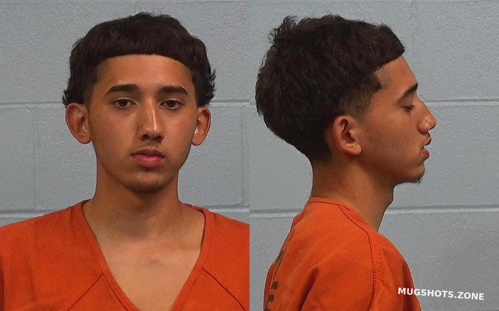 ANDERSON BRENDON MICHAEL 08/28/2024 - Williamson County Mugshots Zone