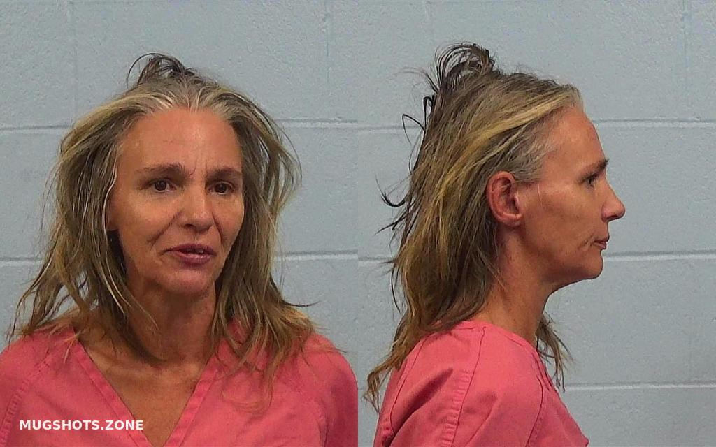 FOLEY JANET LEE 09/09/2024 - Williamson County Mugshots Zone