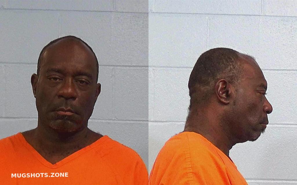 MEREDITH STEPHEN TRACY 10/03/2024 - Williamson County Mugshots Zone