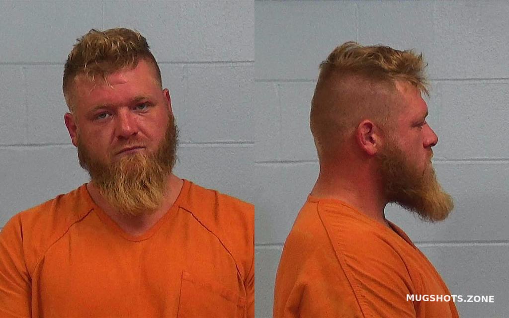 LYONS JOSEPH DAVID 10/15/2024 - Williamson County Mugshots Zone