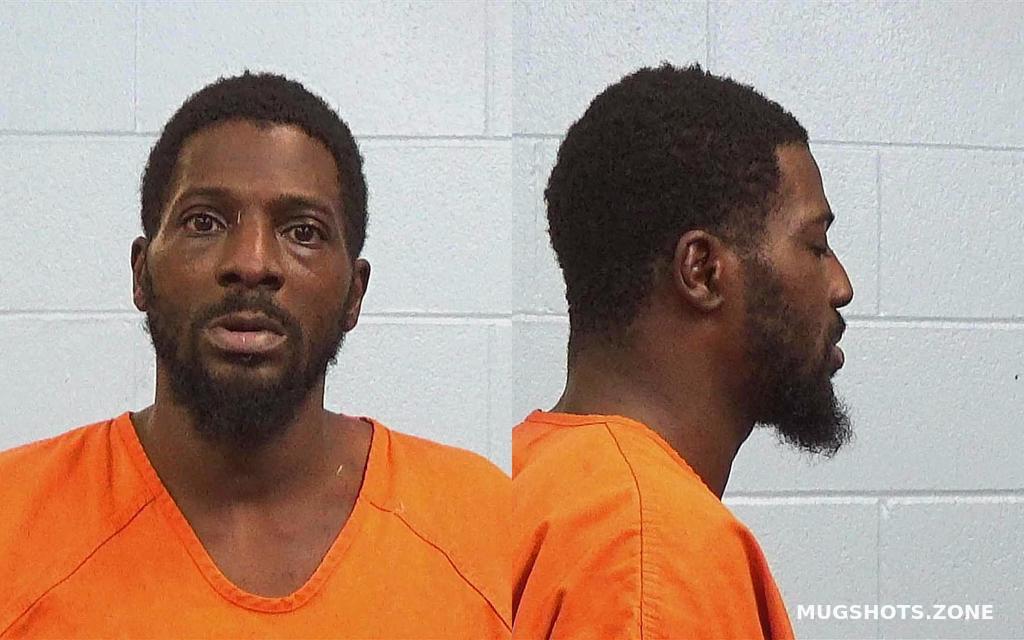 STEVENSON DONNIE RAY 10/18/2024 - Williamson County Mugshots Zone