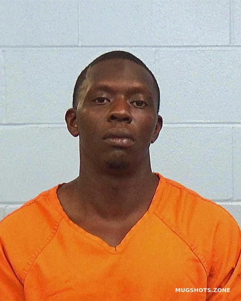 TOLIVER ANDREW DANIEL 10/19/2024 - Williamson County Mugshots Zone