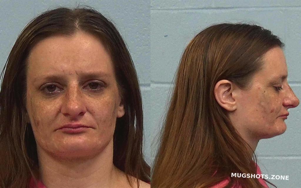 CHAMBERS KIMBERLY MICHELLE 10/22/2024 - Williamson County Mugshots Zone