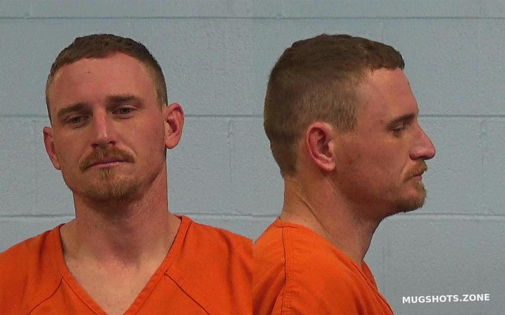 REED BOBBY RAY 10/27/2024 - Williamson County Mugshots Zone