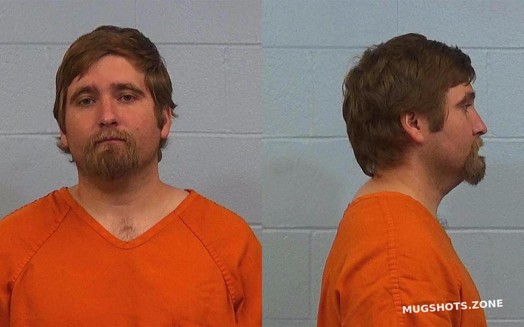 COLLINS AARON JEREMY 11/01/2024 - Williamson County Mugshots Zone