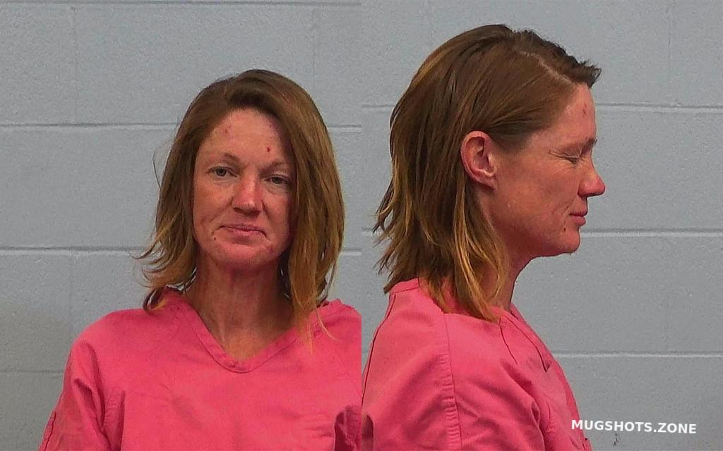 SMALL CHRISTINE MORGAN 11/09/2024 - Williamson County Mugshots Zone