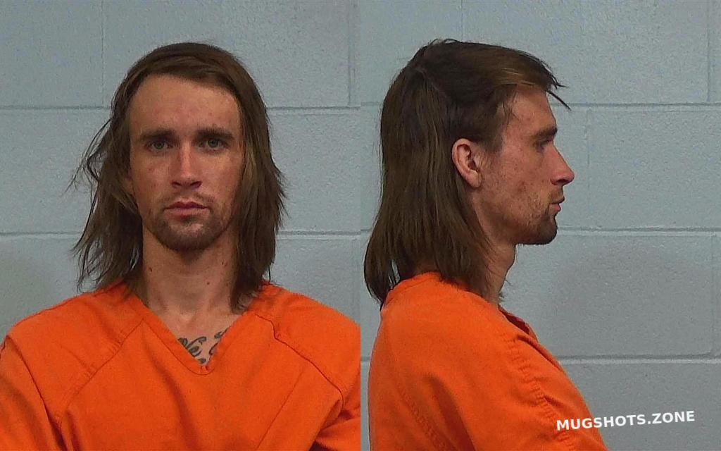 KING RYAN ALLEN 11/10/2024 - Williamson County Mugshots Zone