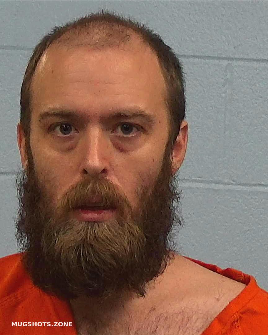 ROBINSON ANDREW GLEESON 11/10/2024 - Williamson County Mugshots Zone
