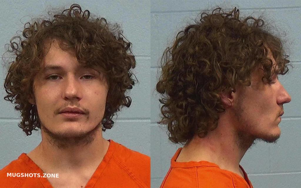 KING BAILEY ALAN 11/13/2024 - Williamson County Mugshots Zone