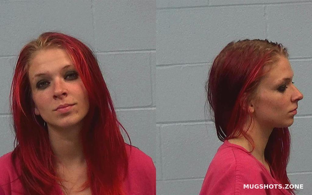INSCO ALEYSA 11/18/2024 - Williamson County Mugshots Zone