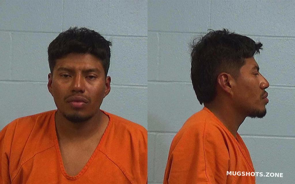 MAGANDA MOISES PIOQUINTO 11/23/2024 - Williamson County Mugshots Zone